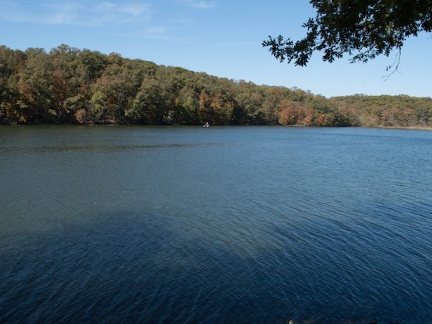 Home [monativeplants.org]